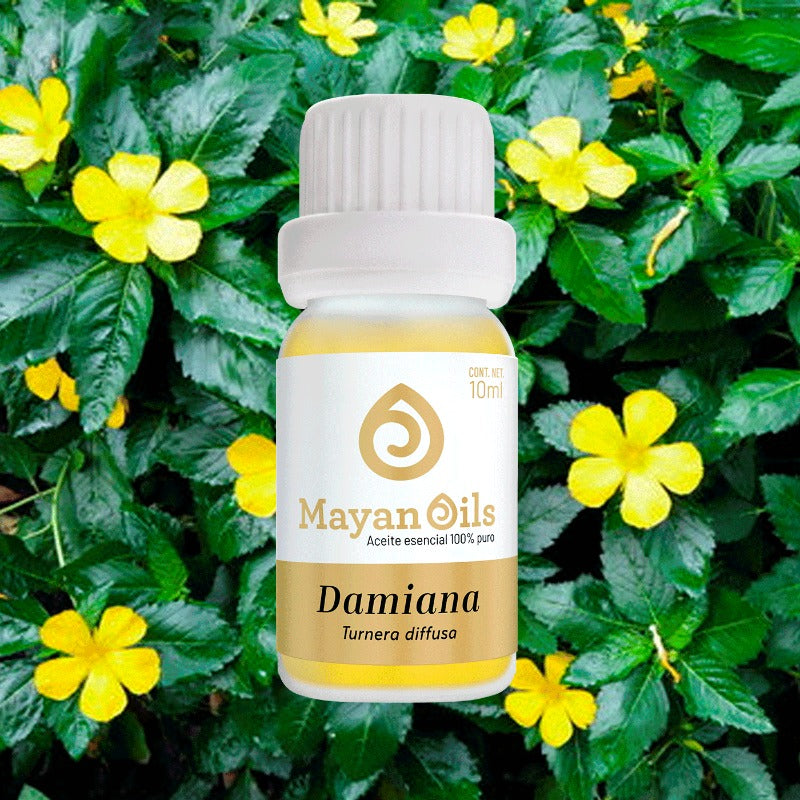 Damiana – Mayan Oils