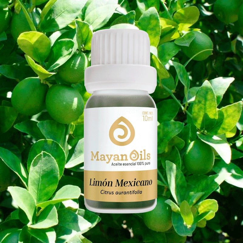 Mexican Lemon – Mayan Oils